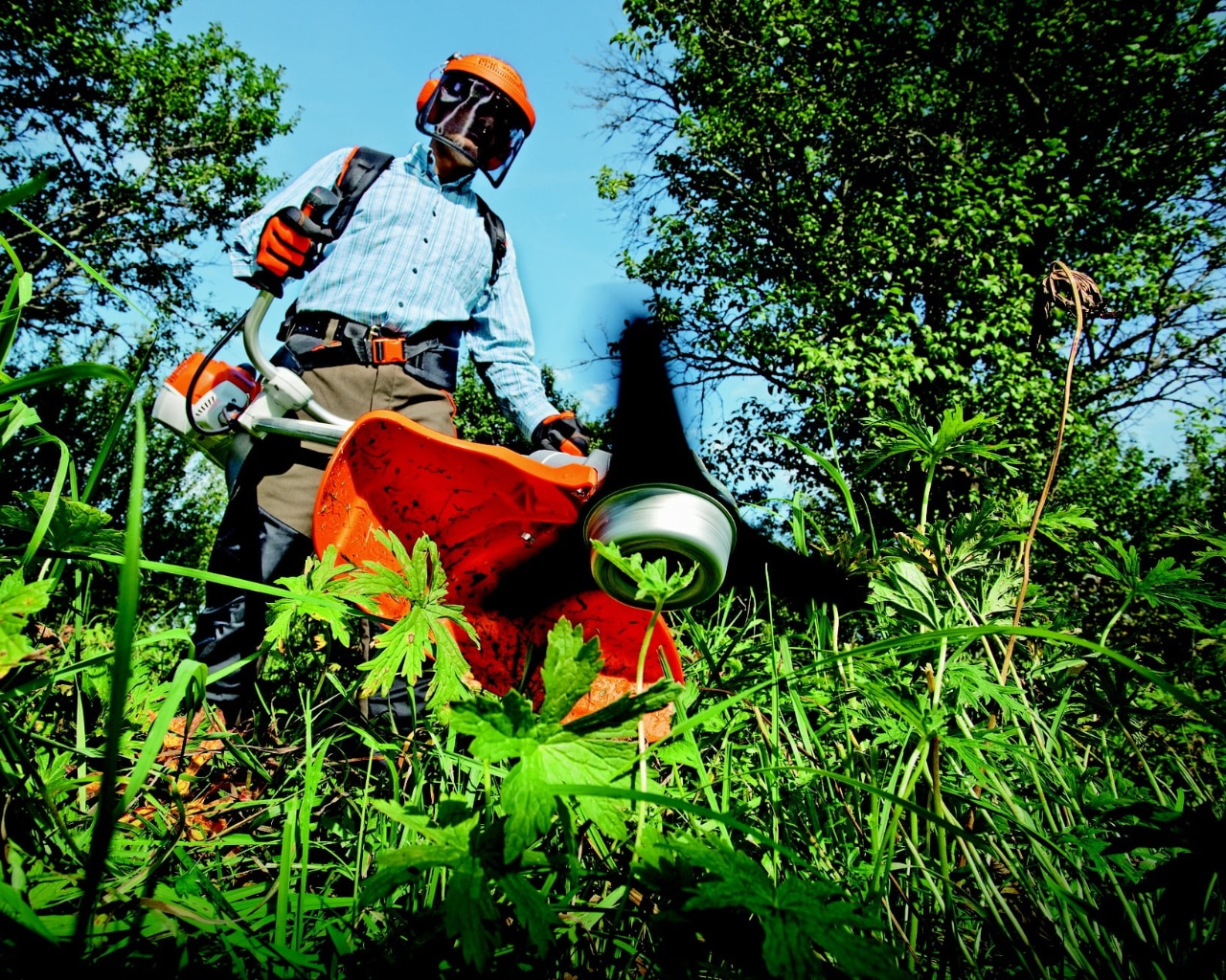 Top 4 des meilleurs modèles de rotofil sur le marché